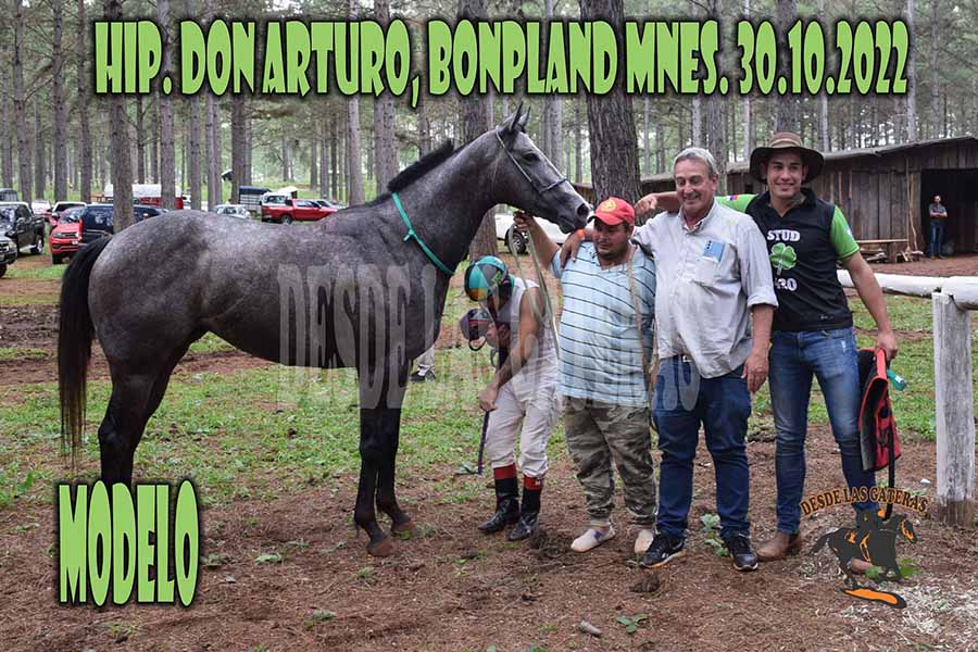 MODELO – DON ARTURO – 30-10-22 - Desde las gateras