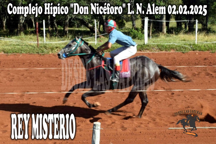REY MISTERIO – HÍPICO DON NICÉFORO 2 DE FEBRERO 2025 - Desde las gateras