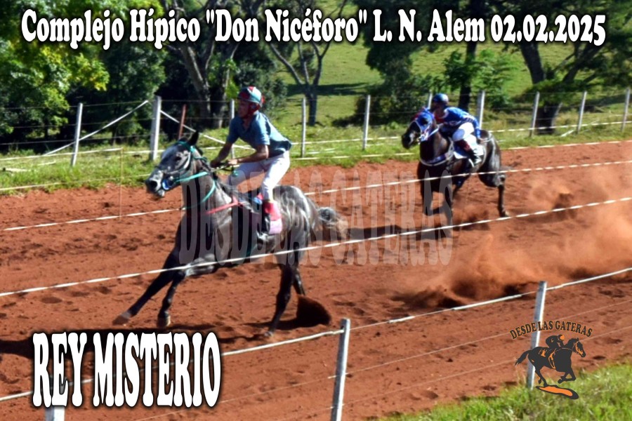 REY MISTERIO – HÍPICO DON NICÉFORO 2 DE FEBRERO 2025 - Desde las gateras